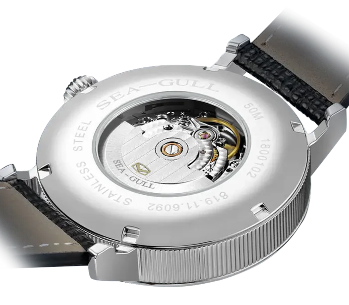 Seagull Moon Phase – bigtimesgp